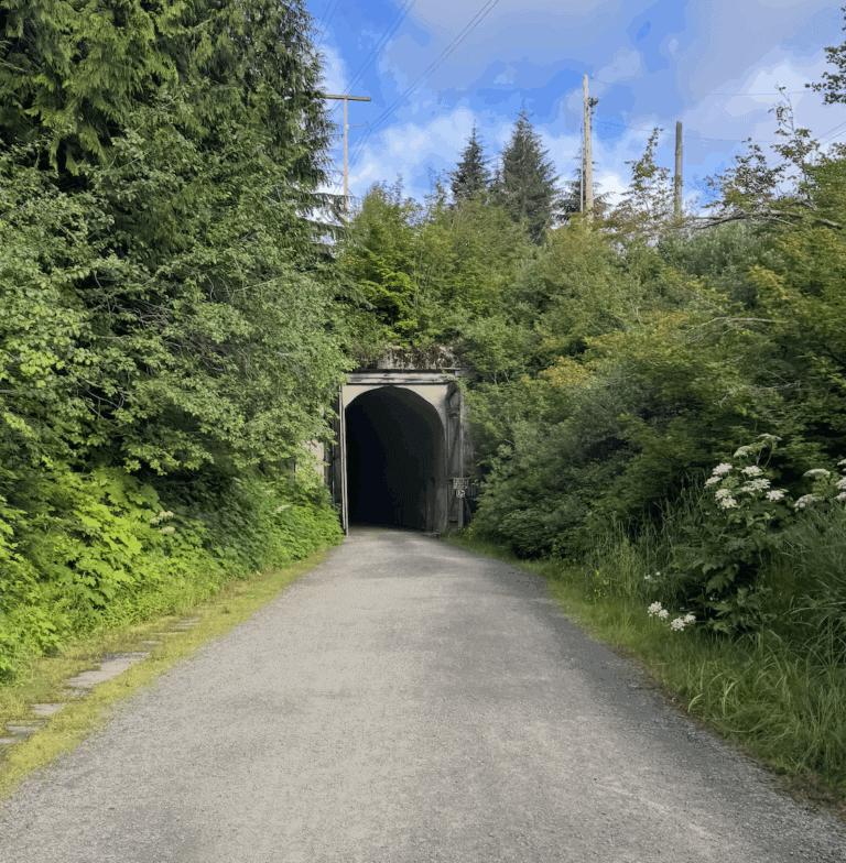 Red Rock Running Company - Running Store Las Vegas, NV